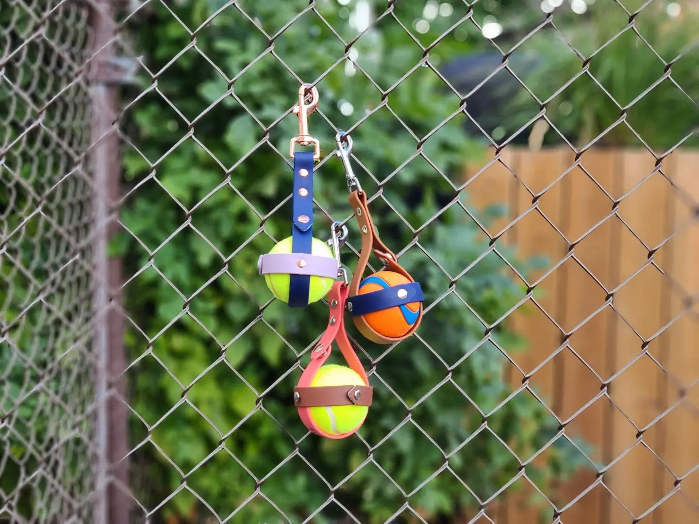 Ball Buddy – TT Dogs Unleashed